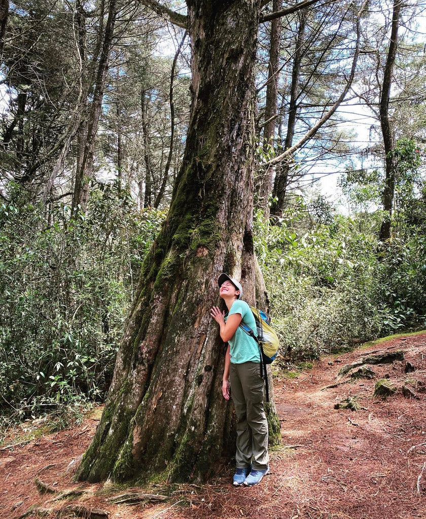 Happy Earth Month 2021! Here’s How You Can Celebrate Earth Day This Ye